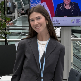 A Guide to the UNFCCC SB Meetings | Climate Talks